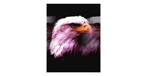 Bald American Eagle Flyer Zazzle