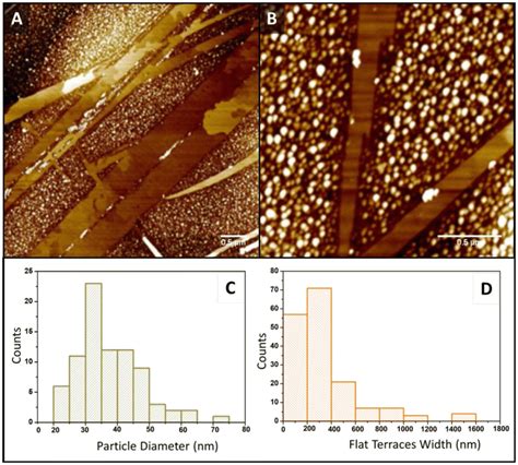 Afm Images Taken In An A 5 µm × 5 µm Area And B For A 2 µm × 2 µm Area