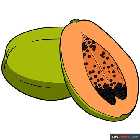 How To Draw A Papaya Really Easy Drawing Tutorial