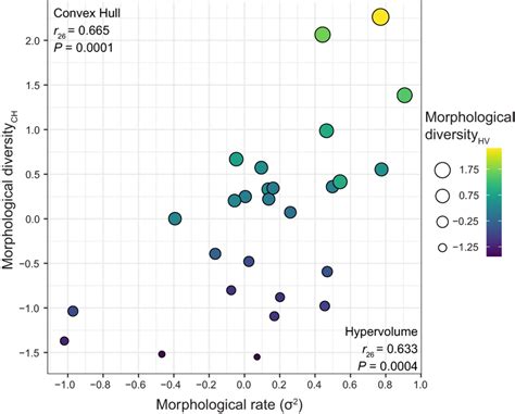 Morphological Diversity Versus Rate Of Evolution Diversity Is