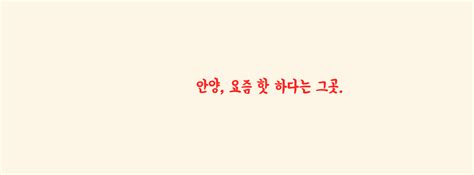 안양 핫플레이스 Home
