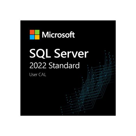 Microsoft Sql Server 2022 Standard 1 User Cal Dg7gmgf0mf3t0002 Soft360pl