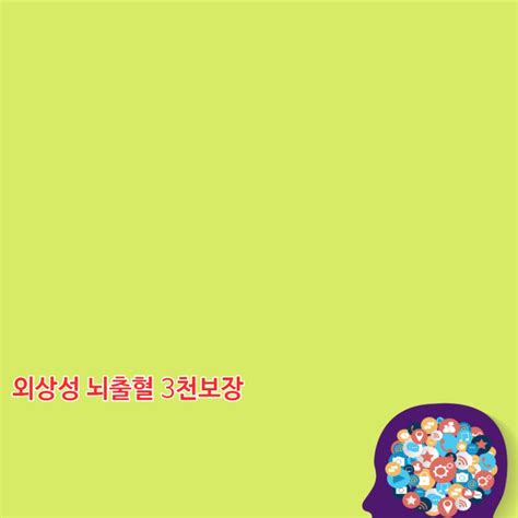 외상성 뇌출혈 경막외출혈 경막하출혈 지주막하출혈 진단비 보장 네이버 블로그