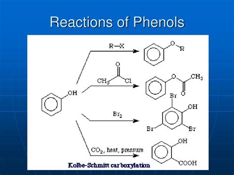 Chemical Synthesis Of Phenolic Compound At Steven Hines Blog
