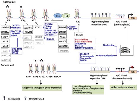 Is Soft Tissue Sarcoma Hereditary