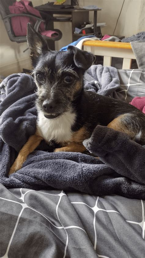 Shes Called Shania R Halfflops