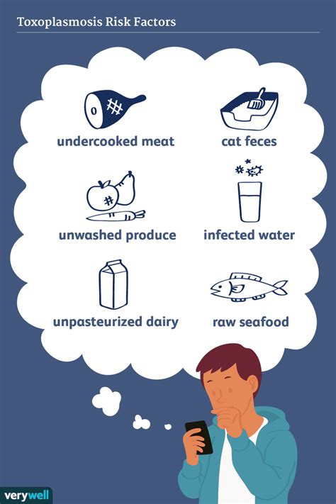 Toxoplasmosis Causes And Risk Factors
