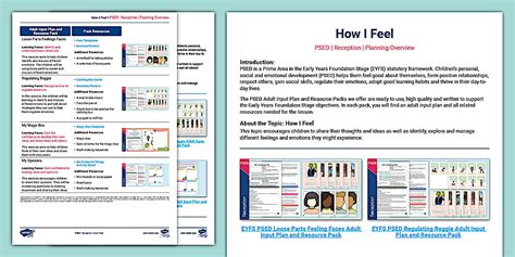 Psed How I Feel Reception Planning Overview Teacher Made