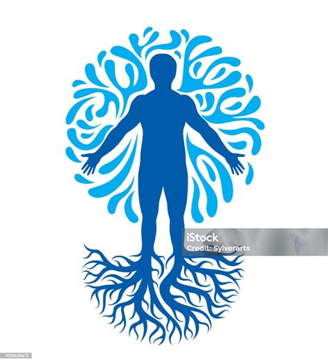 근육 질의 인간 개인의 벡터 그래픽 그림 나무 뿌리로 만든 고 물 공을 의해 둘러싸여 바디 클렌징 아이디어 대체 의학 테마 그림