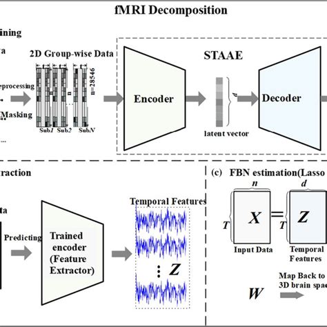 Illustration Of Fmri Decomposition By Staae Spatiotemporal Attention