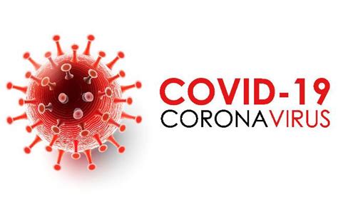 Coronavirus Lo Speciale RAI Con Gli Interventi Degli Esperti FISV FISV