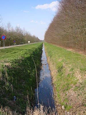Ditch Wikipedia