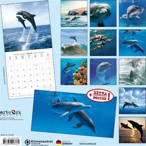 Dolfijnen Kalender Bol
