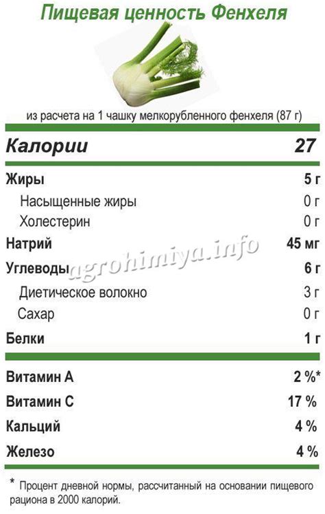 Фенхель выращивание полезные свойства и противопоказания