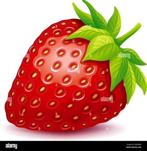 Strawberry Vector Logo Stock Vector Image And Art Alamy