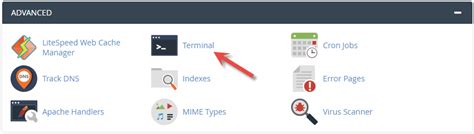 Eksport Og Import Av Database I Terminal Pro Isp