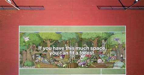 Tiny Forests The Dots