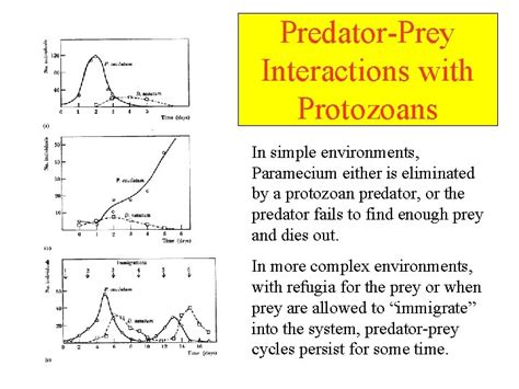 Predatorprey Interactions We Wish To Know How Predators