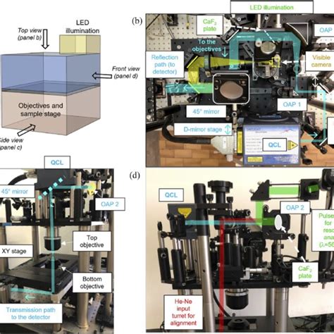 A Schematic Representation Of The Three Main Sections Of The