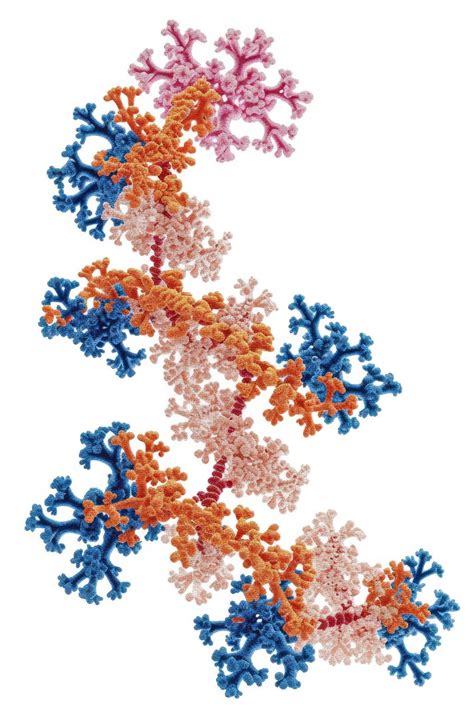 Premium Photo The Versatile World Of Rna Unveiling Its Role In