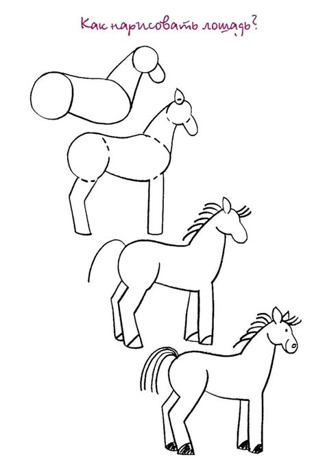 Поэтапные уроки рисования для детей Рисование Рисовать Рисовать животных