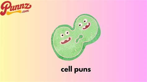 80 Cell Puns That Will Divide You With Laughter For 2025