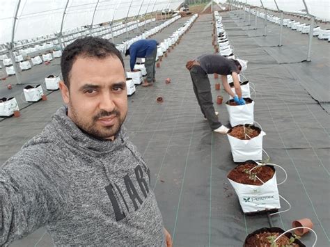 Abderrahim Elhamdi On Linkedin The First Man Who Plants Blueberries In