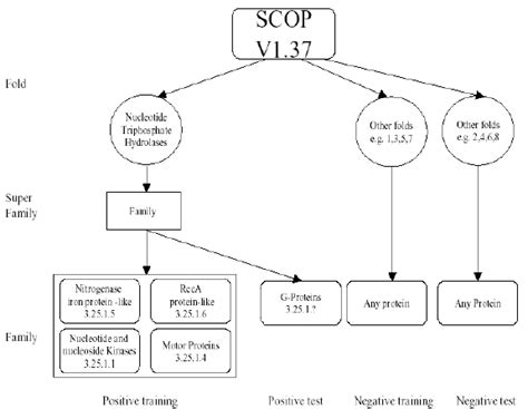Layout Of Scop Sets Used Download Scientific Diagram