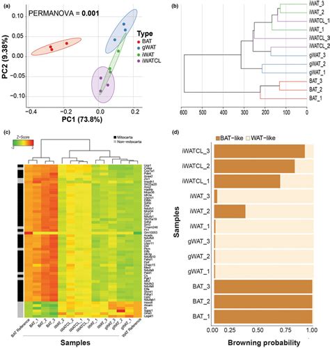 Transcriptome Profile And Browning Potential Of Different Adipose