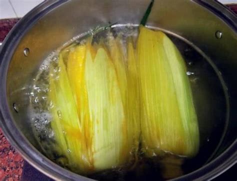 煮玉米時，很多人放錯了「水」難怪又老又硬！不懂的人，別亂煮 每日頭條