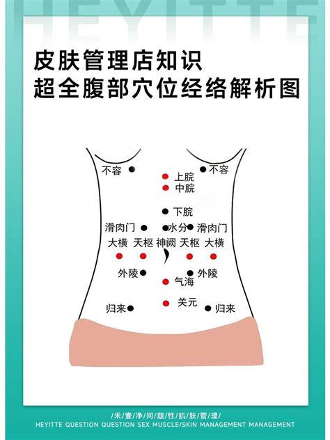 皮肤管理店知识 超全腹部穴位经络解析图