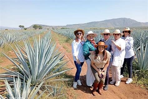 Atualizado 2025 Excursão Em Grupo Ao Tequila Jalisco Pueblo Mágico