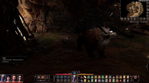 Baldurs Gate Owlbear Brazilrety