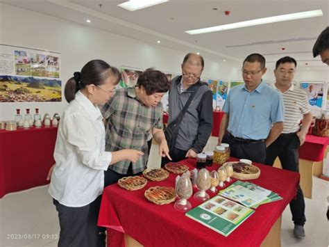 文山州委州直机关工委常务副书记杨恩丽到州农科院调研基层党建示范点建设工作云南机关党建网