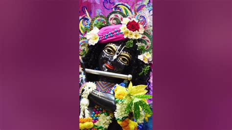 Mayapur Iskcon Morning Bhagwan Ke Darshan Karan Youtube