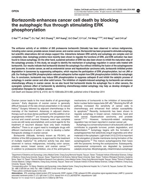 Pdf Bortezomib Enhances Cancer Cell Death By Blocking The Autophagic