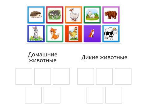 Виды животных Group Sort