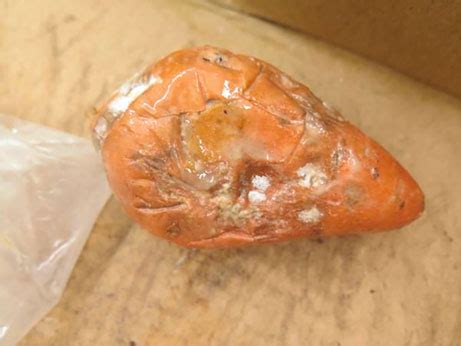 A Wet Soft Rot On A Sweetpotato Root Infected With Geotrichum