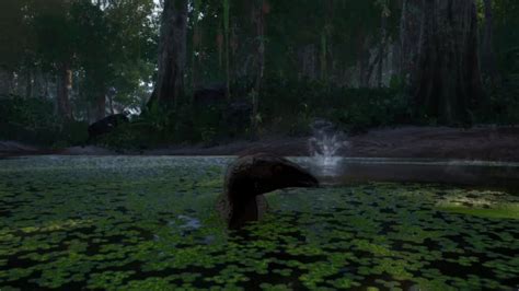 My Beipi Is Broken Rtheisle