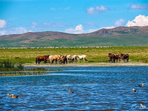 Баян овоо сум ХӨХ БҮРДНИЙ НУУР Баянхонгор Аймаг