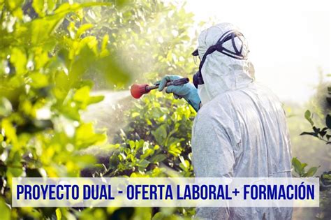 Proyecto Dual Servicios Para El Control De Plagas Seag0110 Atperson