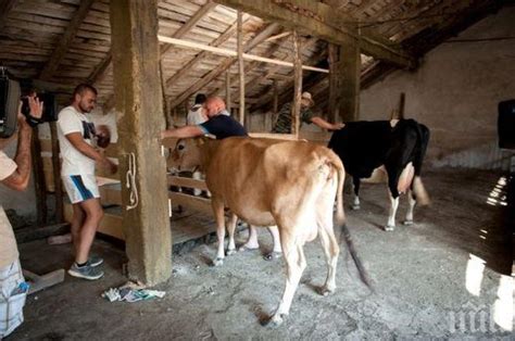 6 българки се страхуват от една рускиня във „Фермата” Информационна агенция ПИК