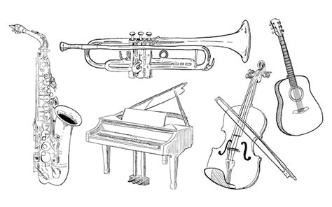 Premium Vector Set Of Sketch And Hand Drawn Musical Equipment