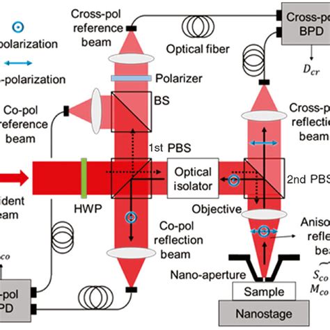 Schematic Of A Plasmonic Near Field Scanning Nanoscope Pnsn Which Download Scientific Diagram