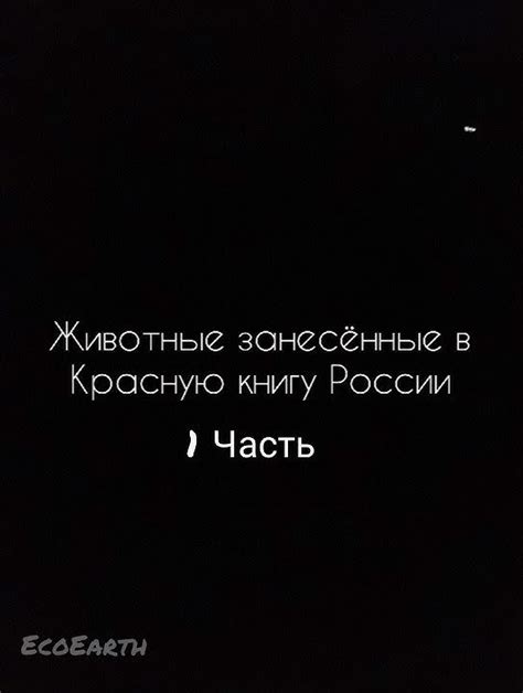 Животные занесённые в Красную книгу России 1 часть Youtube