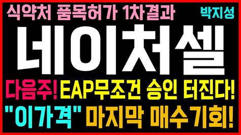 네이처셀 주가 🚨긴급속보🚨다음주 기대감 미친듯이 폭발 이 재료 터지고 3연상 5만원 찍는다 이 가격 다시는 안올