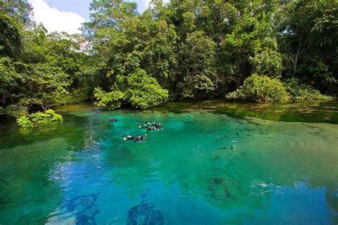 Flutuação no Rio da Prata Bonito MS Fotos Preço Reservas