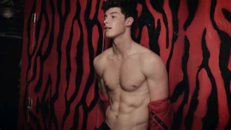 Shawn Mendes And His Abs Are So Mesmerizing We Had To Make GIFs