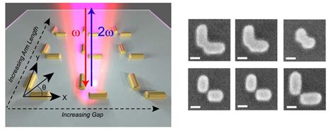 Scheme Of The Experimental Conditions Left And Individual SEM Images Download Scientific