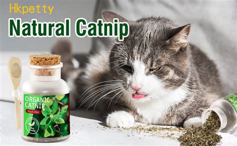 Hkpetty Natural Catnip For Cats105 Oz Cat Premium Organic Catnipsafe And Non Hkpetty Natural Catnip For Cats105 Oz Cat Premium Organic Catnipsafe And Non
